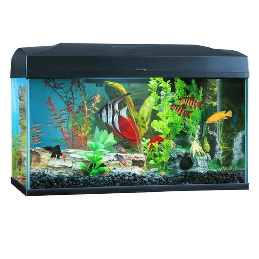Blue Planet Classic Aquarium 50L – Pet Supplies Empire