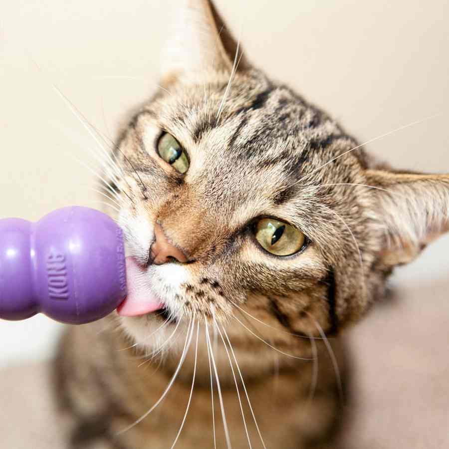 KONG cat toys- Kitty Kong – Pet Supplies Empire