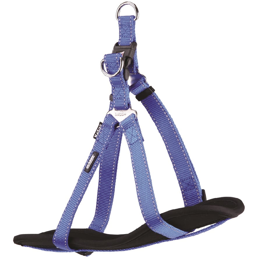 Kazoo Classic DD Nylon Walking Harness Blue – Pet Supplies Empire