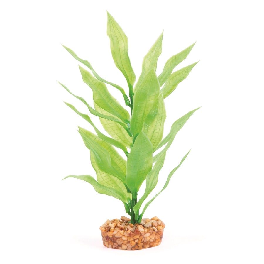 Kazoo Plastic Plant Long Leaf Green – Pet Supplies Empire