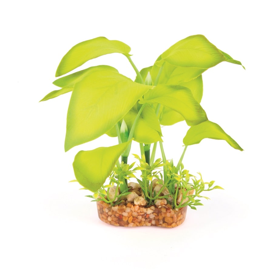 Kazoo Silk Plant Large Leaf Green – Pet Supplies Empire