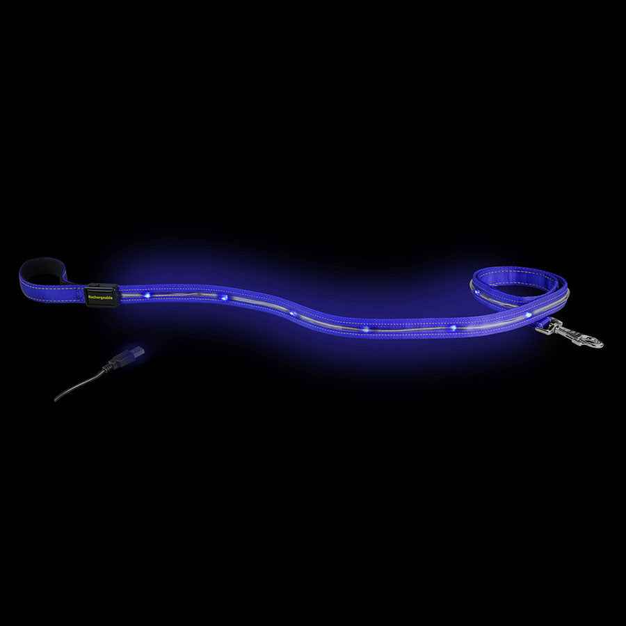 Loomo LED Dog Lead Blue – Pet Supplies Empire